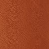 Arancio Interior Leather | Pelle Leathers