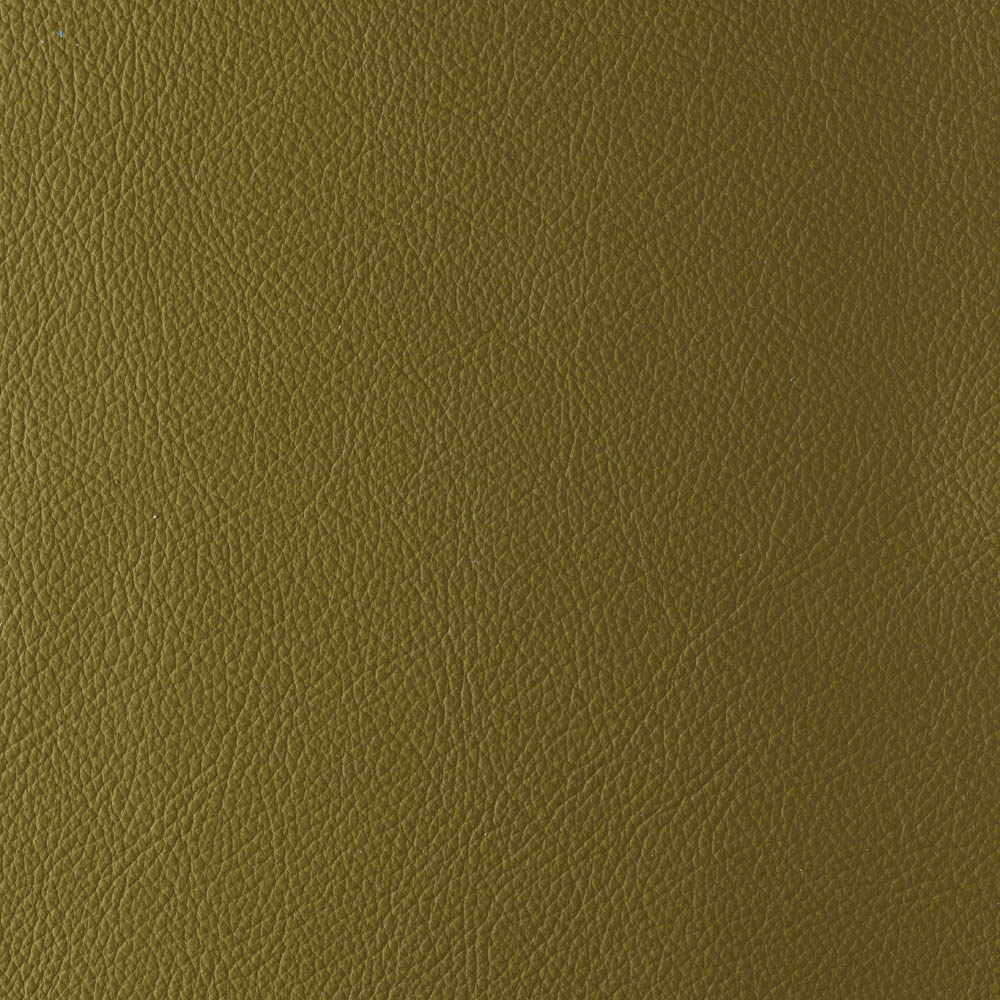 Mint Premium Leather | Pelle Leathers