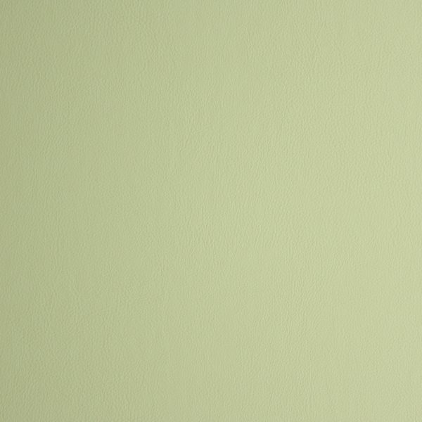 copyright pelle leathers, 2024